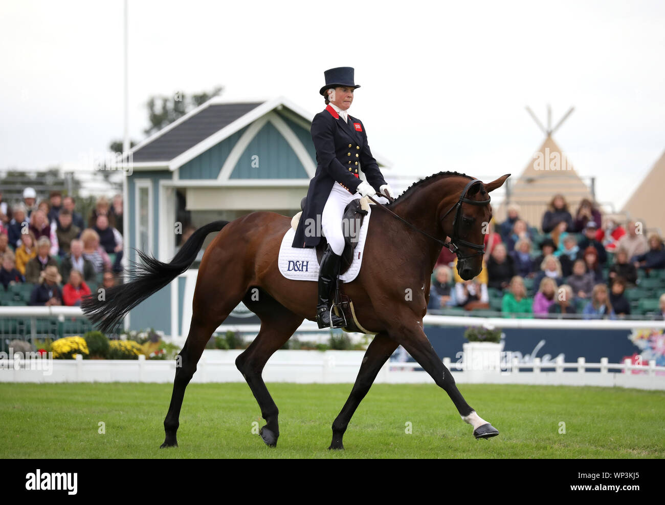 Dresage High Resolution Stock Photography and Images - Alamy