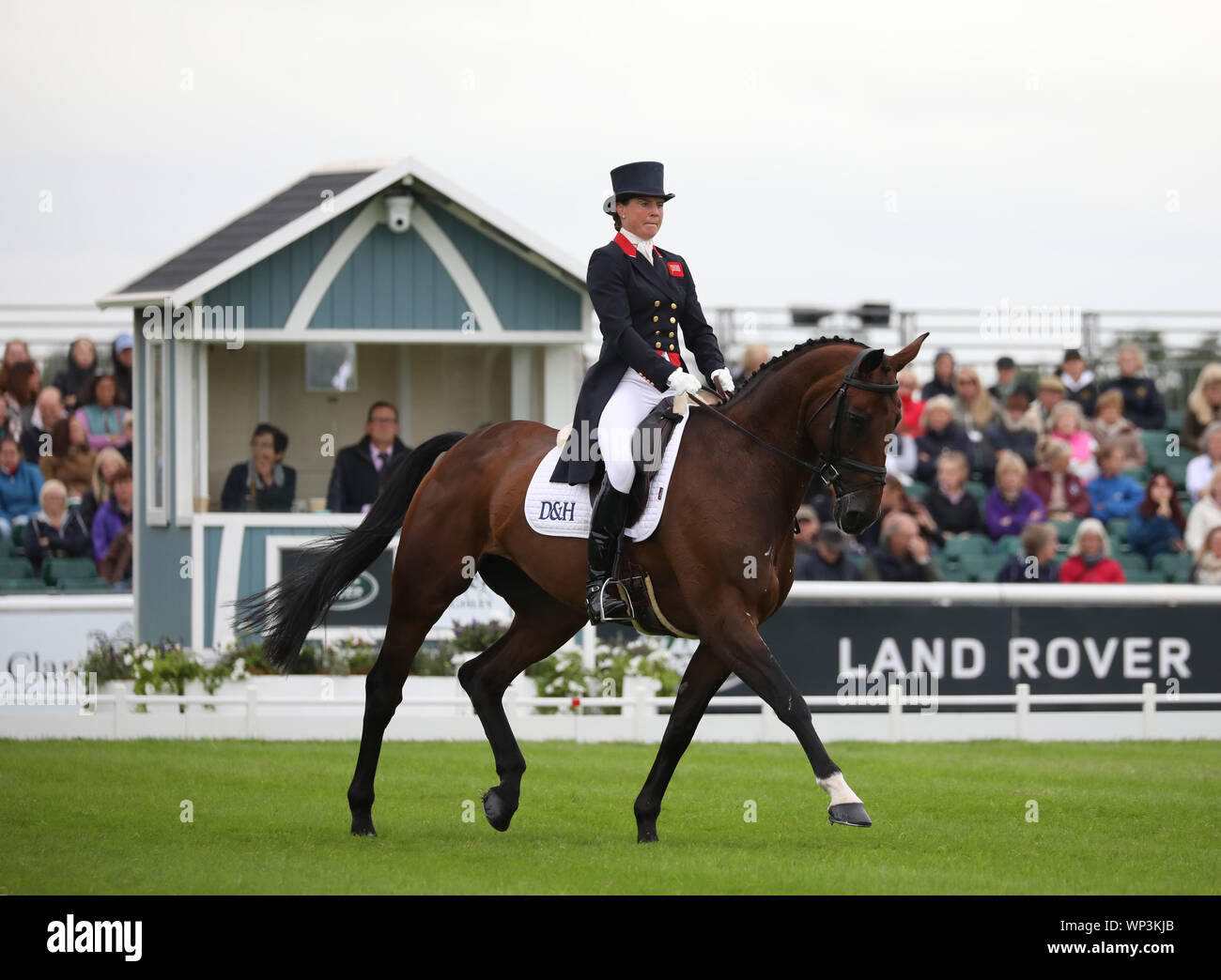 Dresage High Resolution Stock Photography and Images - Alamy