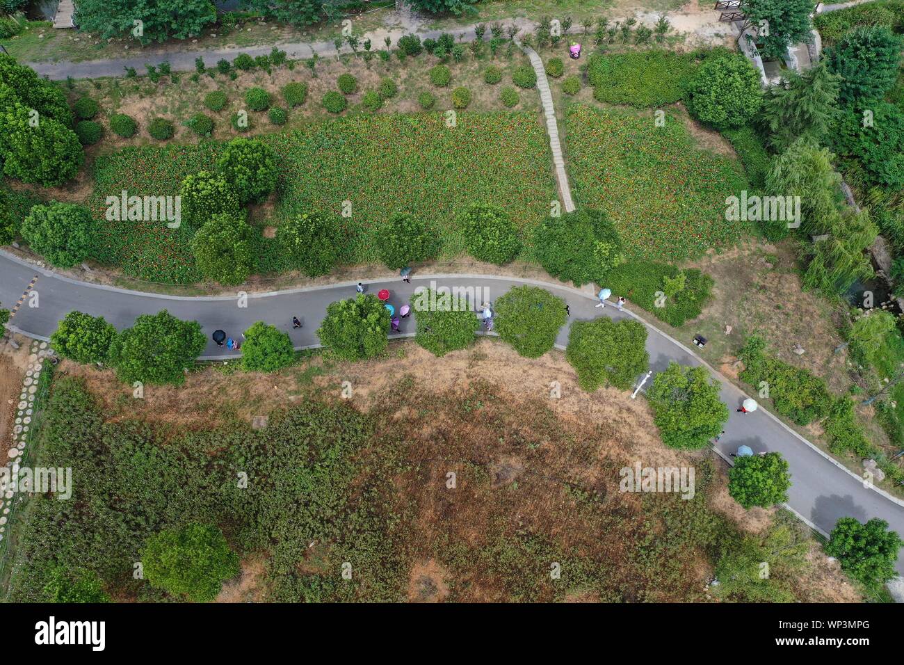 Nanjing. 6th Sep, 2019. Aerial photo taken on Sept. 6, 2019 shows ...