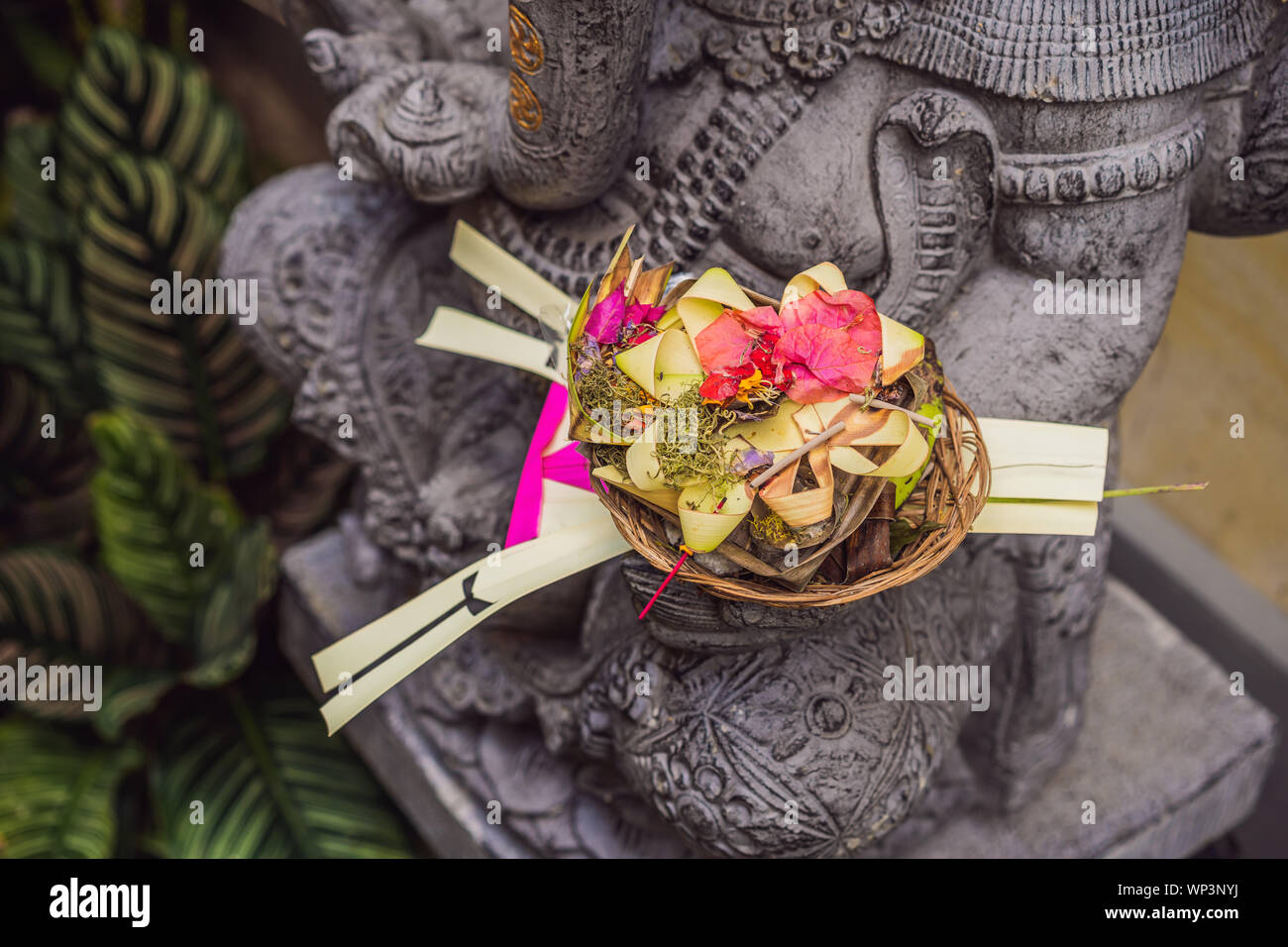 Traditional balinese offerings to gods in Bali with flowers and ...
