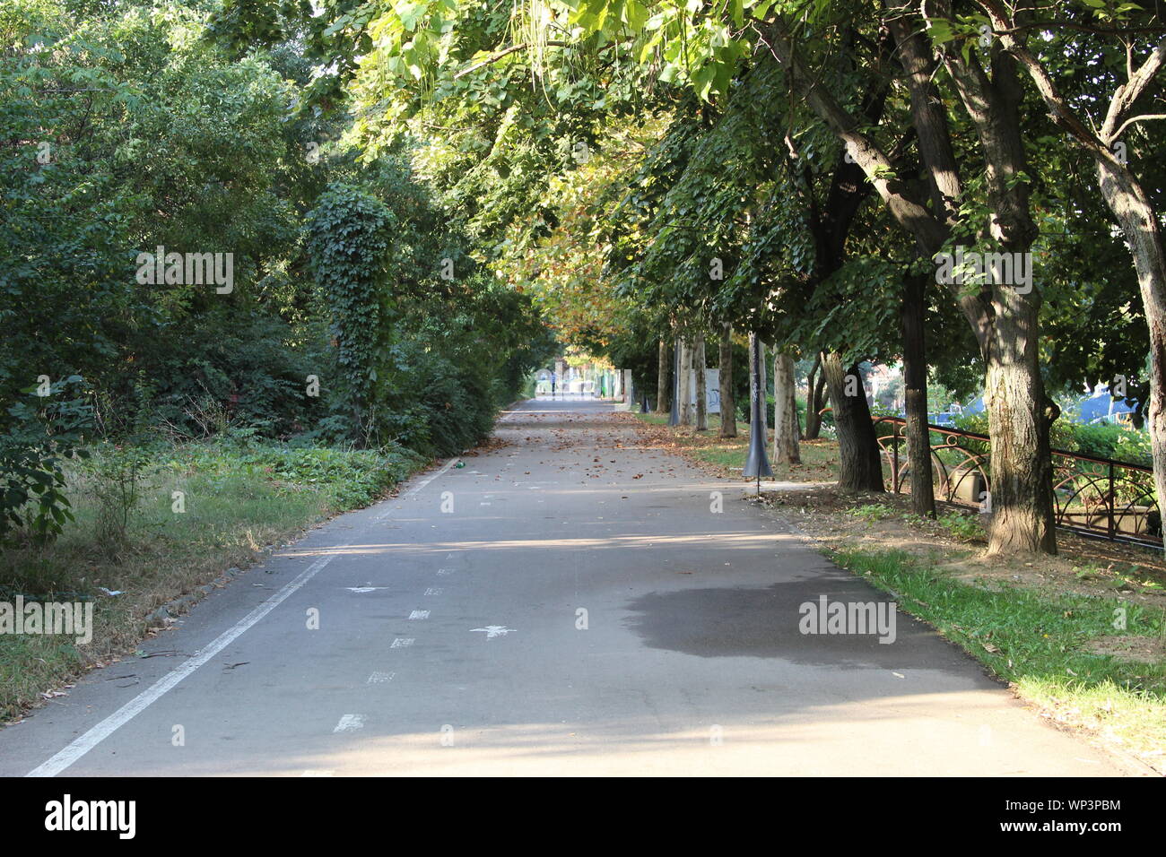 Walk in he park hi-res stock photography and images - Alamy