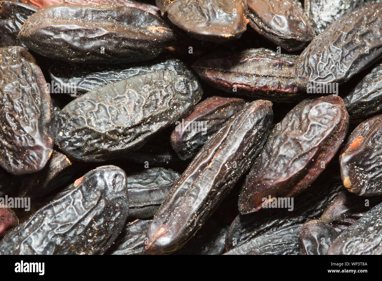 Tonka beans hi-res stock photography and images - Alamy