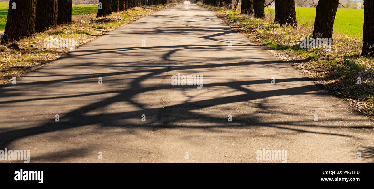 spring empty road among trees, blue sky and green grass Stock Photo - Alamy