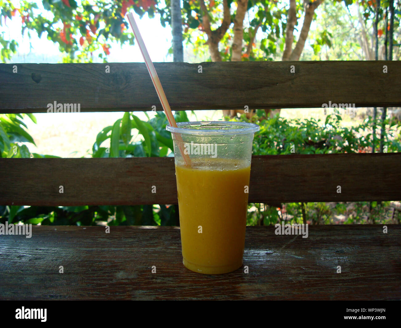 A plastic glass of orange juice stands on a bench. A tube sticks out in ...