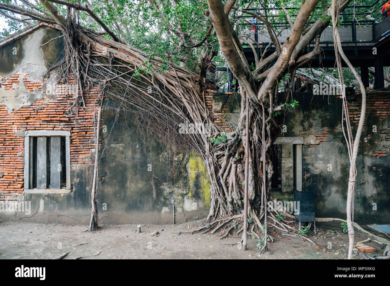 Anping Tree House, historical architecture in Tainan, Taiwan Stock ...