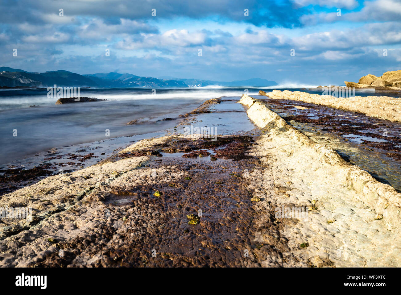 Flysch sediment hi-res stock photography and images - Alamy