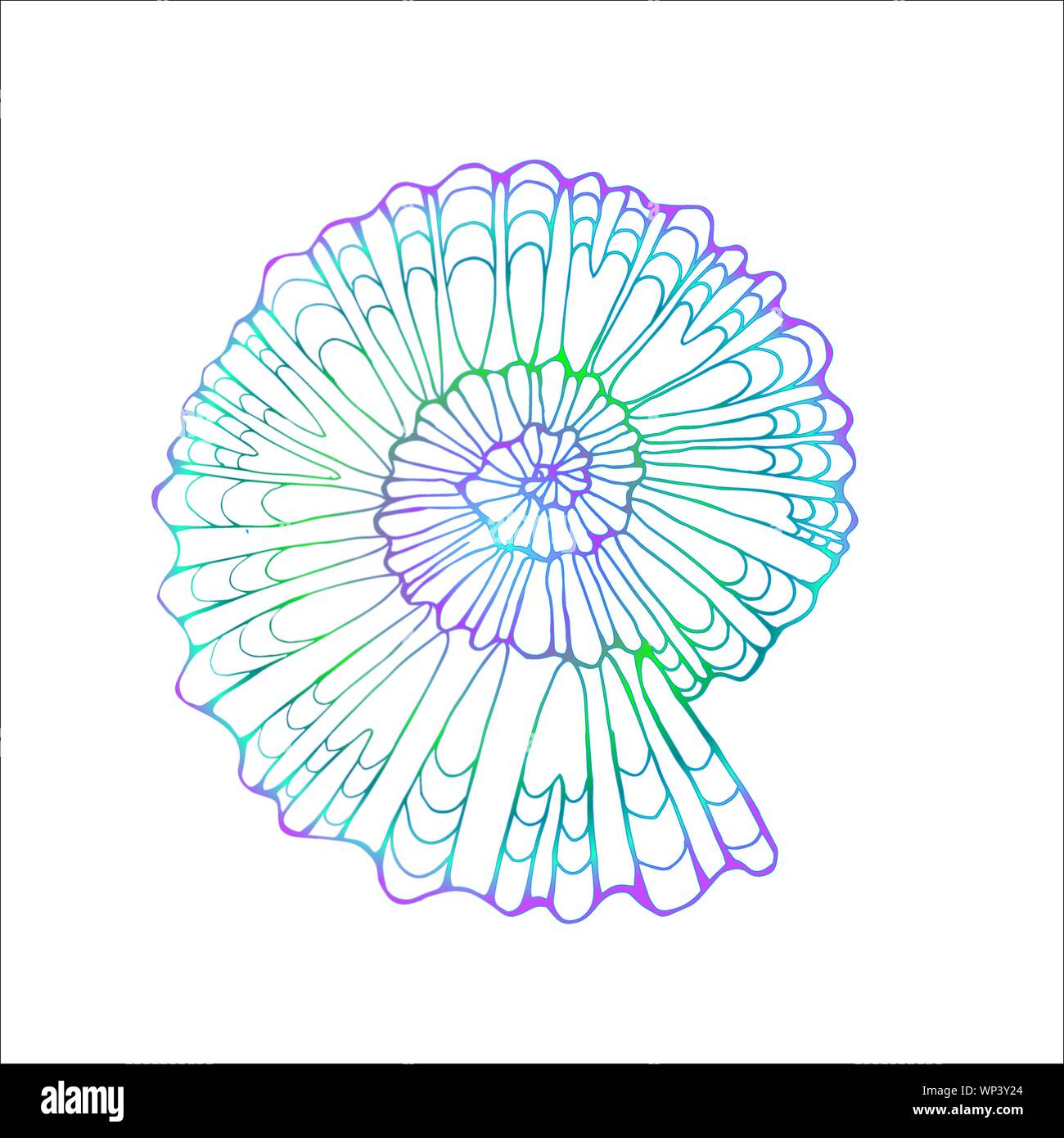 Color illustration of a petrified snail shell Stock Vector Image & Art ...