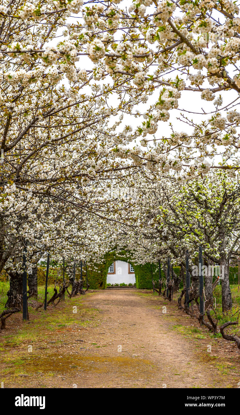 Apple the grove hi-res stock photography and images - Alamy