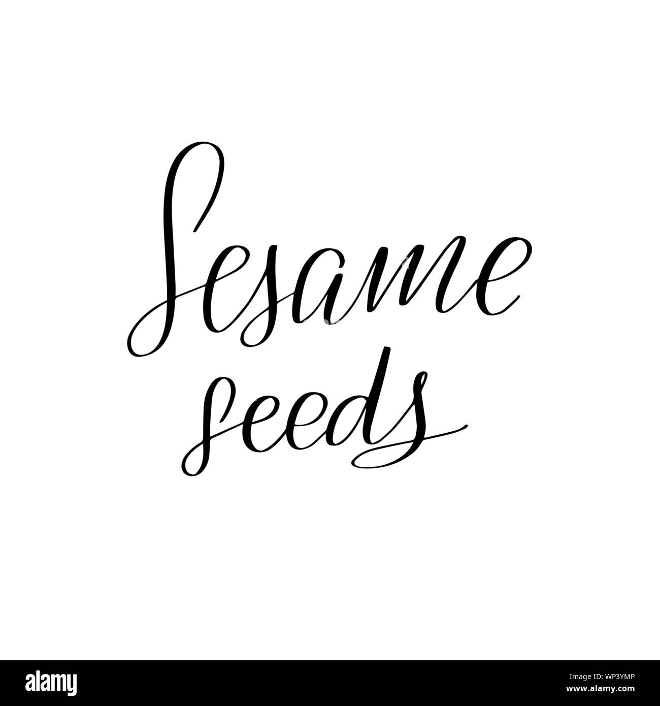 Inspirational handwritten brush lettering . Vector calligraphy ...