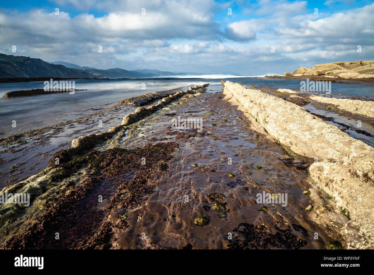 Close up of the flysch, a geological rock formations caused by the ...
