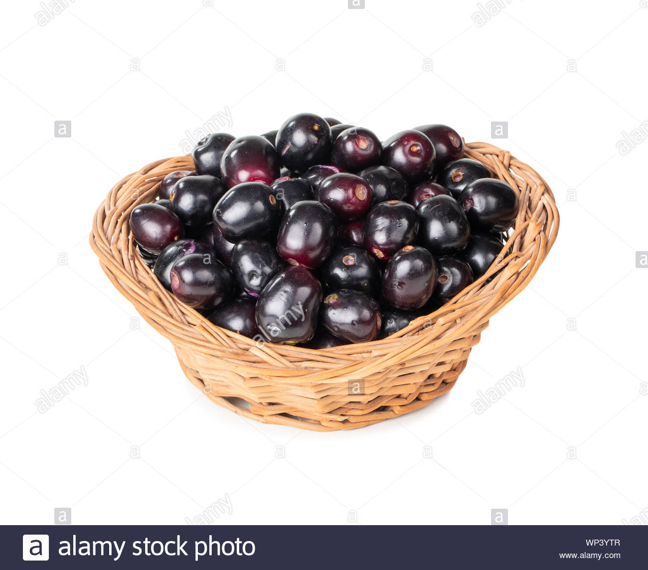 Jambul High Resolution Stock Photography and Images - Alamy