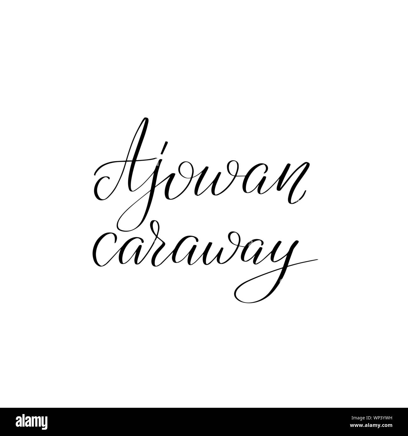 Inspirational handwritten brush lettering . Vector calligraphy ...