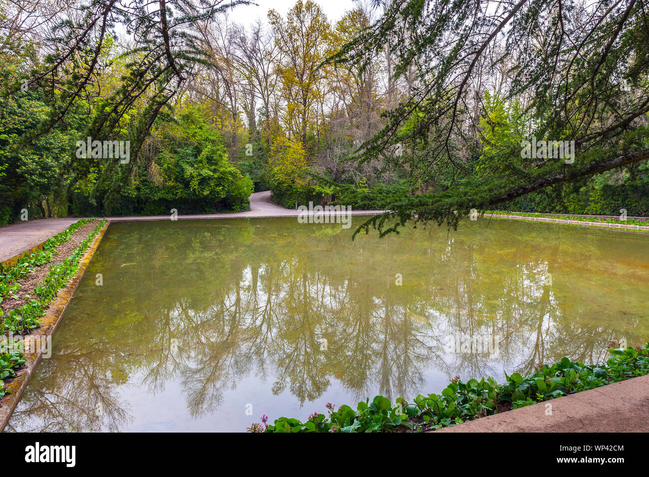 Pond in the park on a rainy day Stock Photo - Alamy