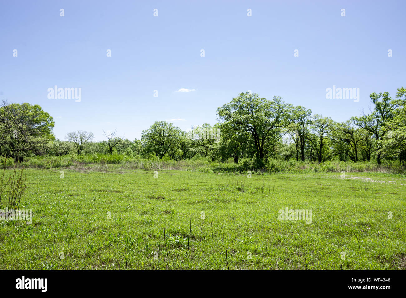 Louisville Swamp Unit, Minnesota Stock Photo - Alamy