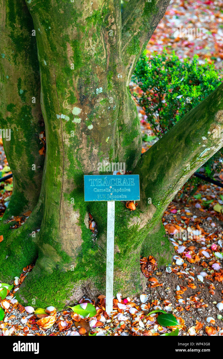 Colorful fragment hi-res stock photography and images - Alamy