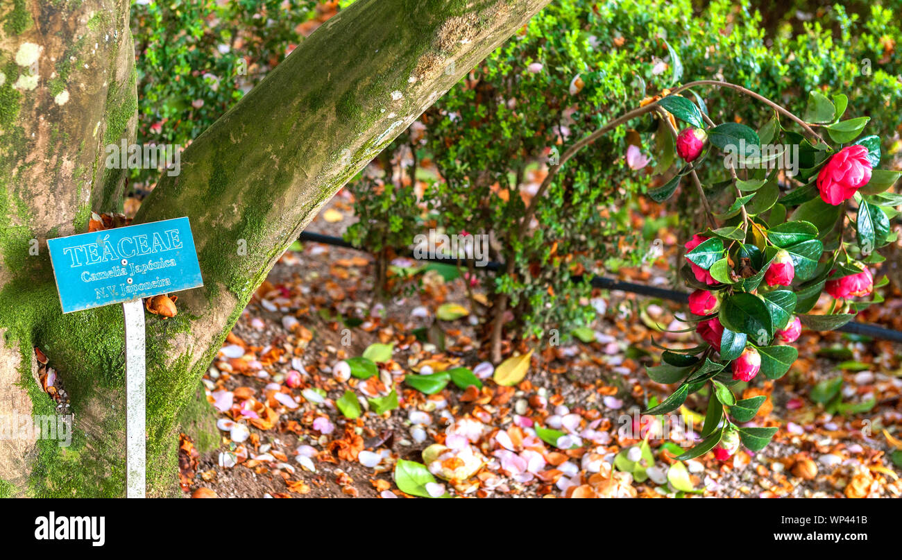 Colorful fragment hi-res stock photography and images - Alamy