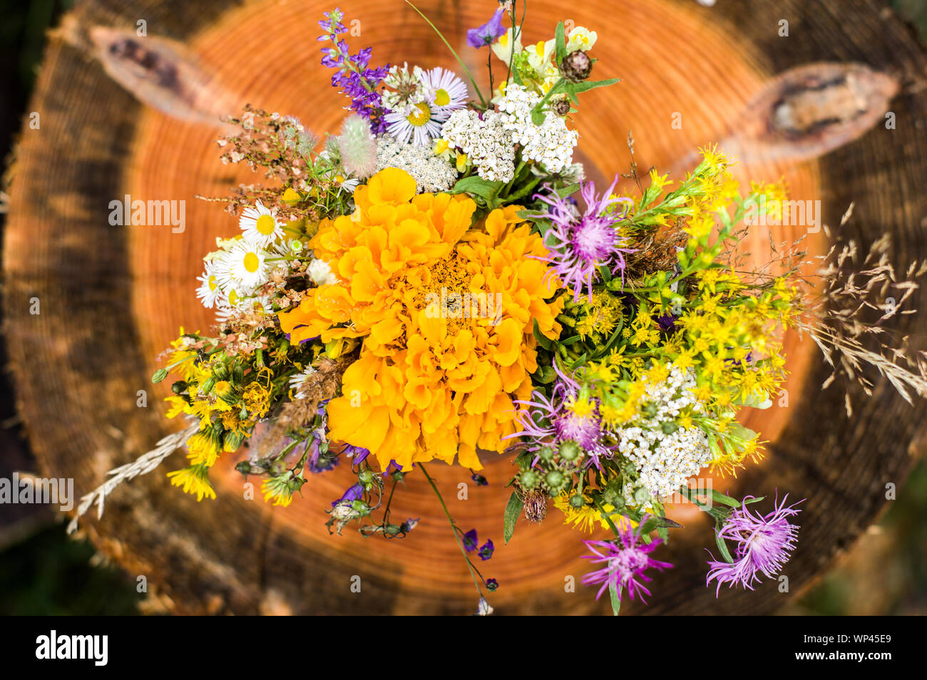 Bouquet of colorful wildflowers. Wild flowers. Top view Stock Photo - Alamy