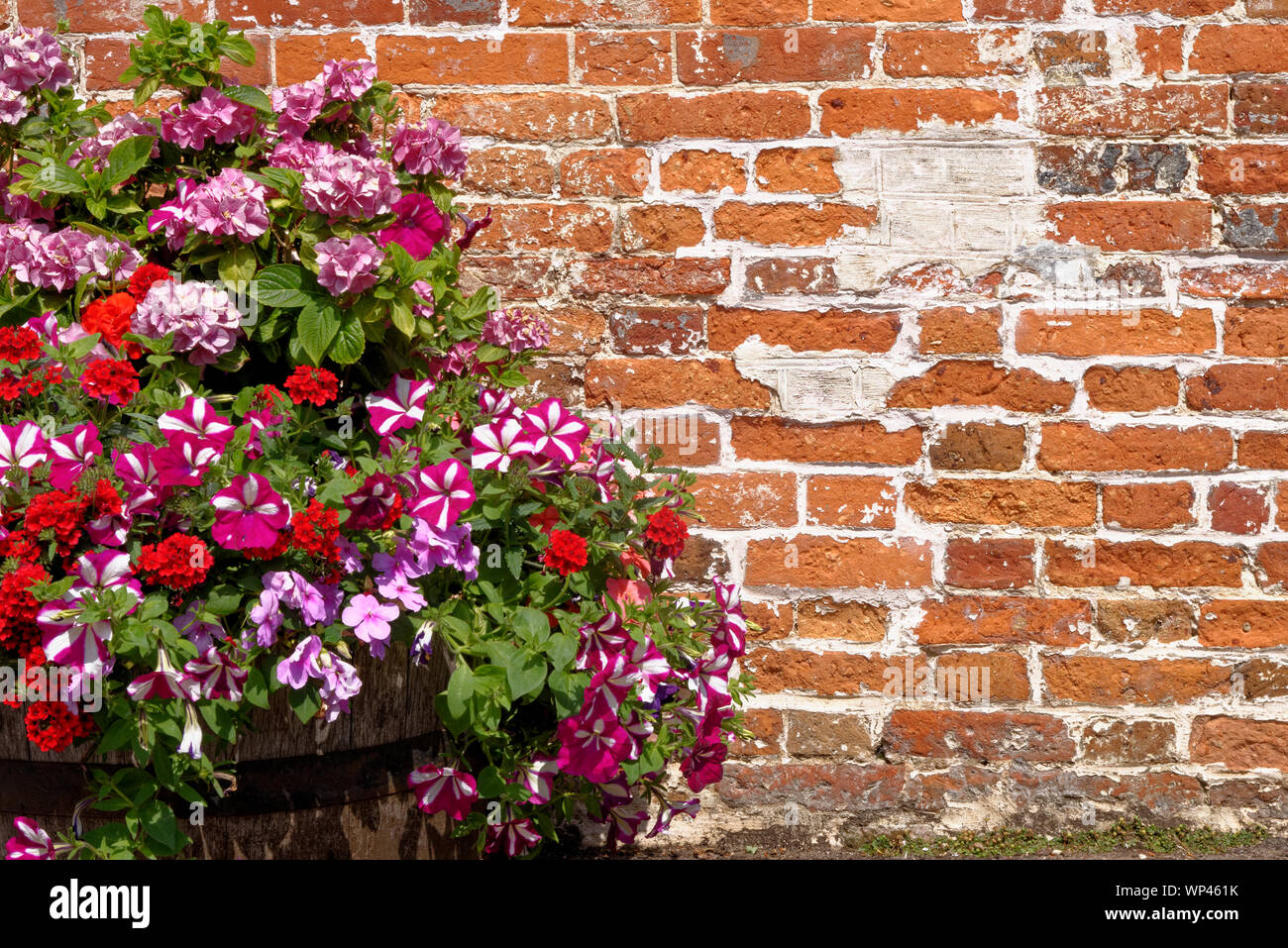 Vivtage brick wall texture background with flowers on Stock Photo - Alamy