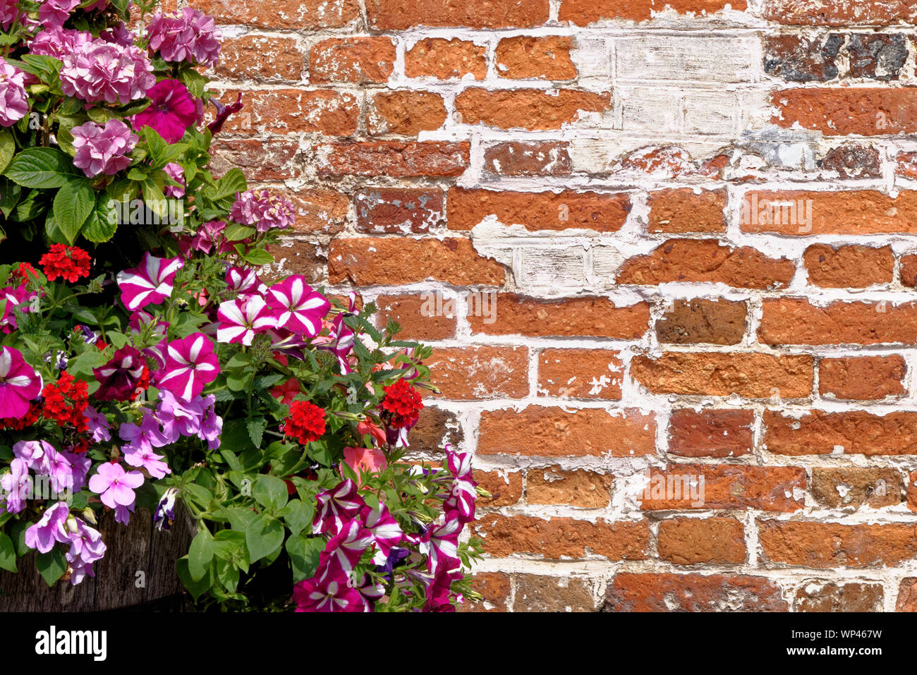 Vivtage brick wall texture background with flowers on Stock Photo - Alamy