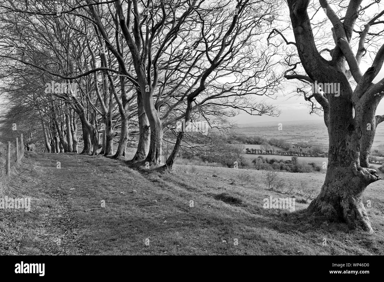Black country nature reserve hi-res stock photography and images - Alamy