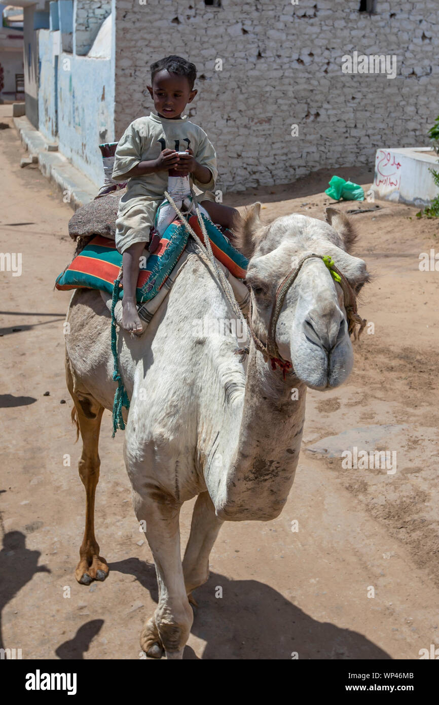 A young Egyptian boy rides a camel through the Nubian village of Garb ...