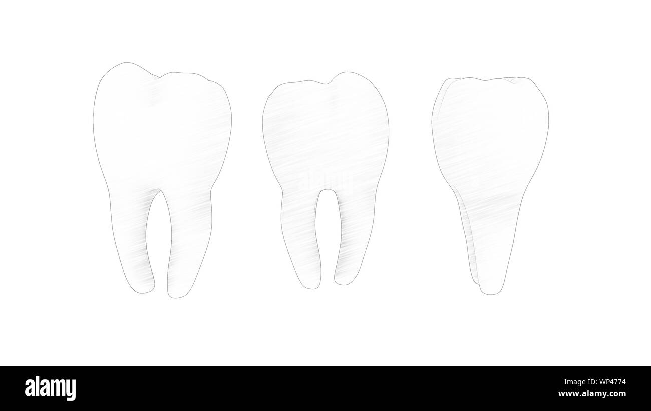 3d rendering of a tooth molar isolated in white studio background Stock ...