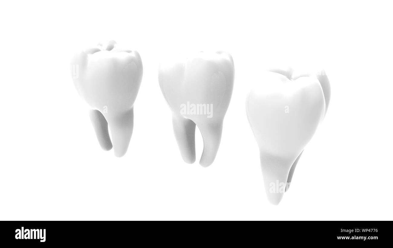 3d rendering of a tooth molar isolated in white studio background Stock ...