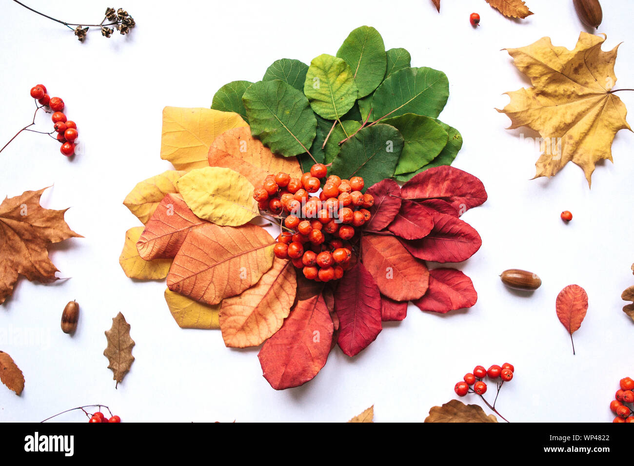 Abstract design of colorful leaves hi-res stock photography and images ...