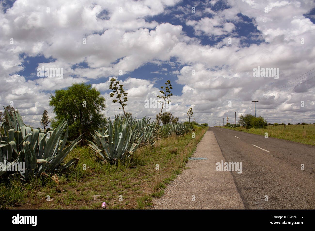 African landscape - rural area of Free State in South Africa with a ...