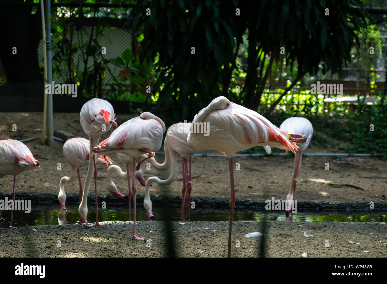 Long lake colony hi-res stock photography and images - Alamy