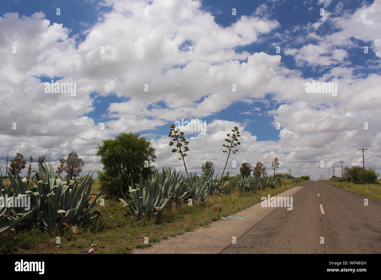 African landscape - rural area of Free State in South Africa with a ...