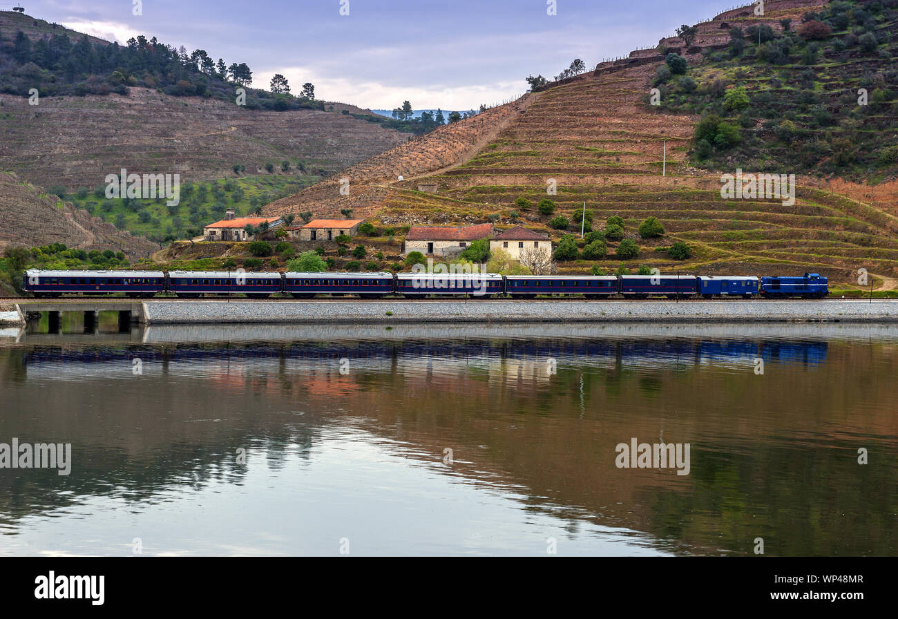 Olive tree portugal douro hi-res stock photography and images - Alamy