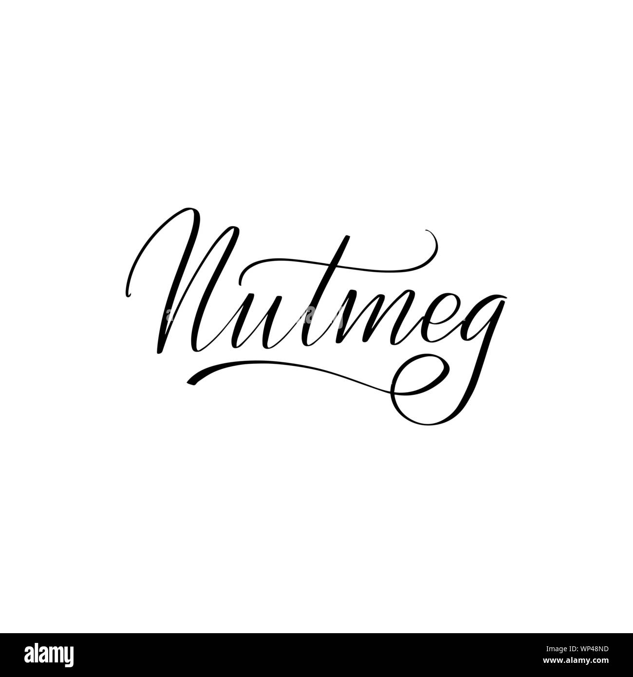 Inspirational handwritten brush lettering . Vector calligraphy ...