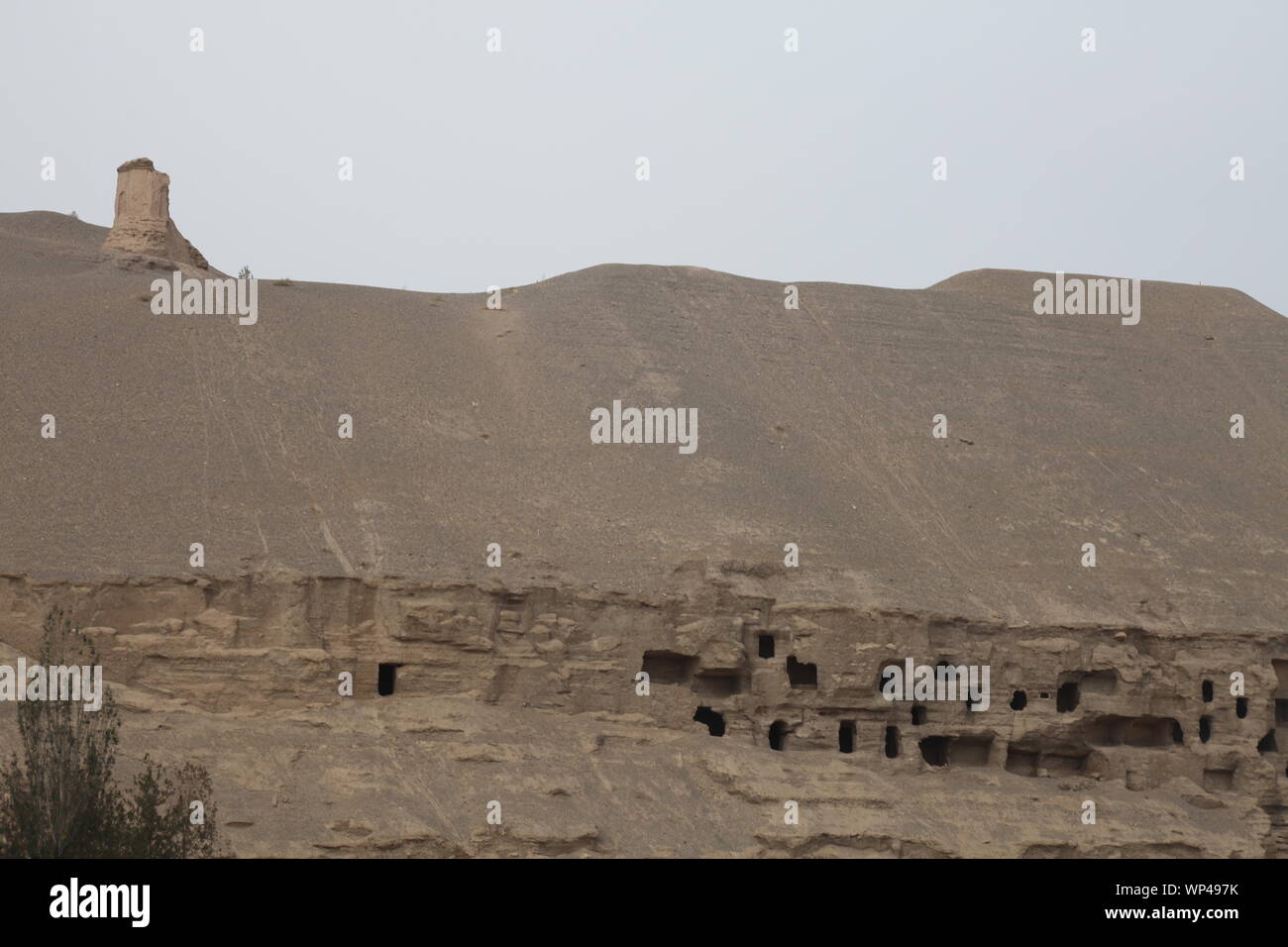 The gobi oasis hi-res stock photography and images - Alamy