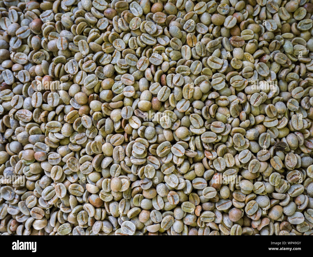 background screensaver screen full of Green coffee beans Stock Photo ...