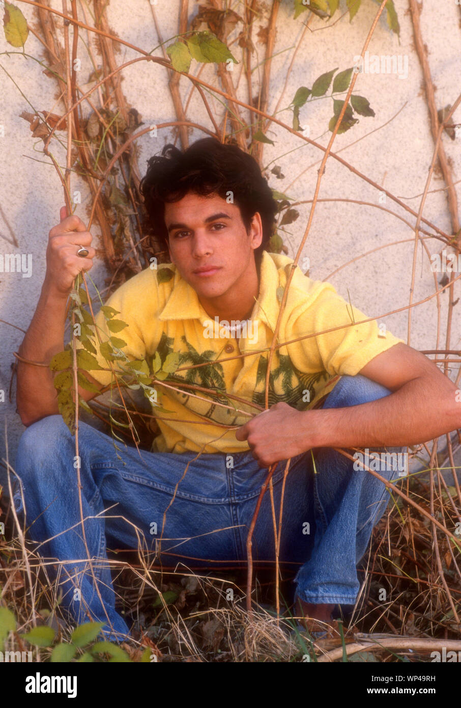 Neverending story 2 hi-res stock photography and images - Alamy