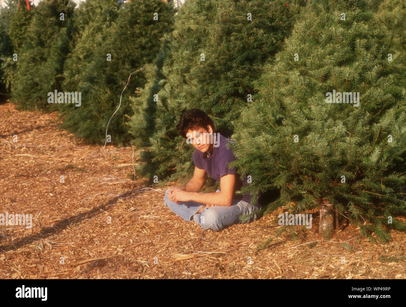 Los Angeles, California, USA 2nd December 1994 (Exclusive) Actor Kenny ...