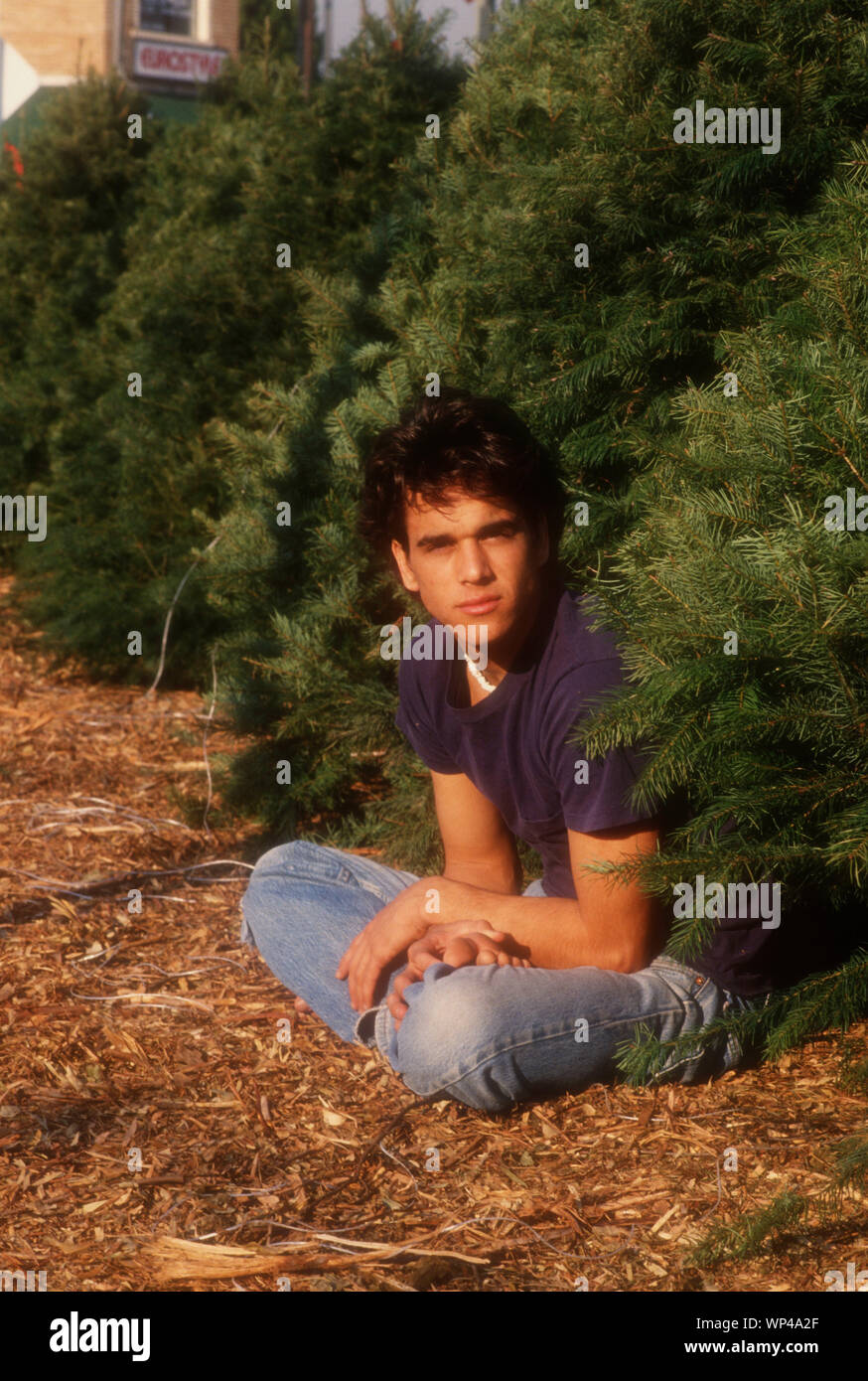 Los Angeles, California, USA 2nd December 1994 (Exclusive) Actor Kenny ...