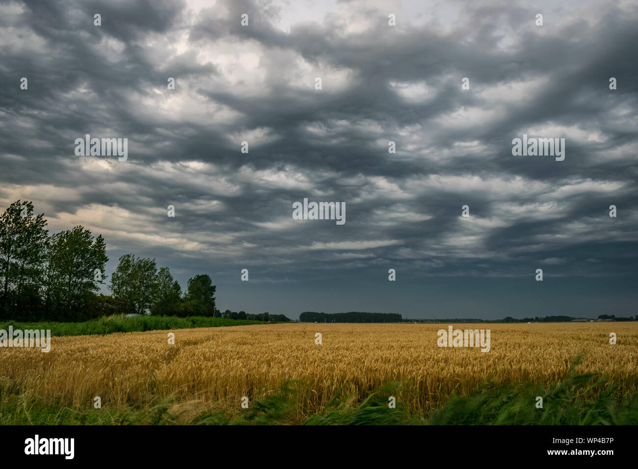 Thundery sky hi-res stock photography and images - Alamy