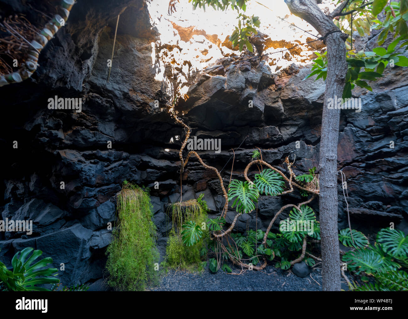 Lanzarote, Spain October 15 2018: Inside a lava tube at the Cesar ...