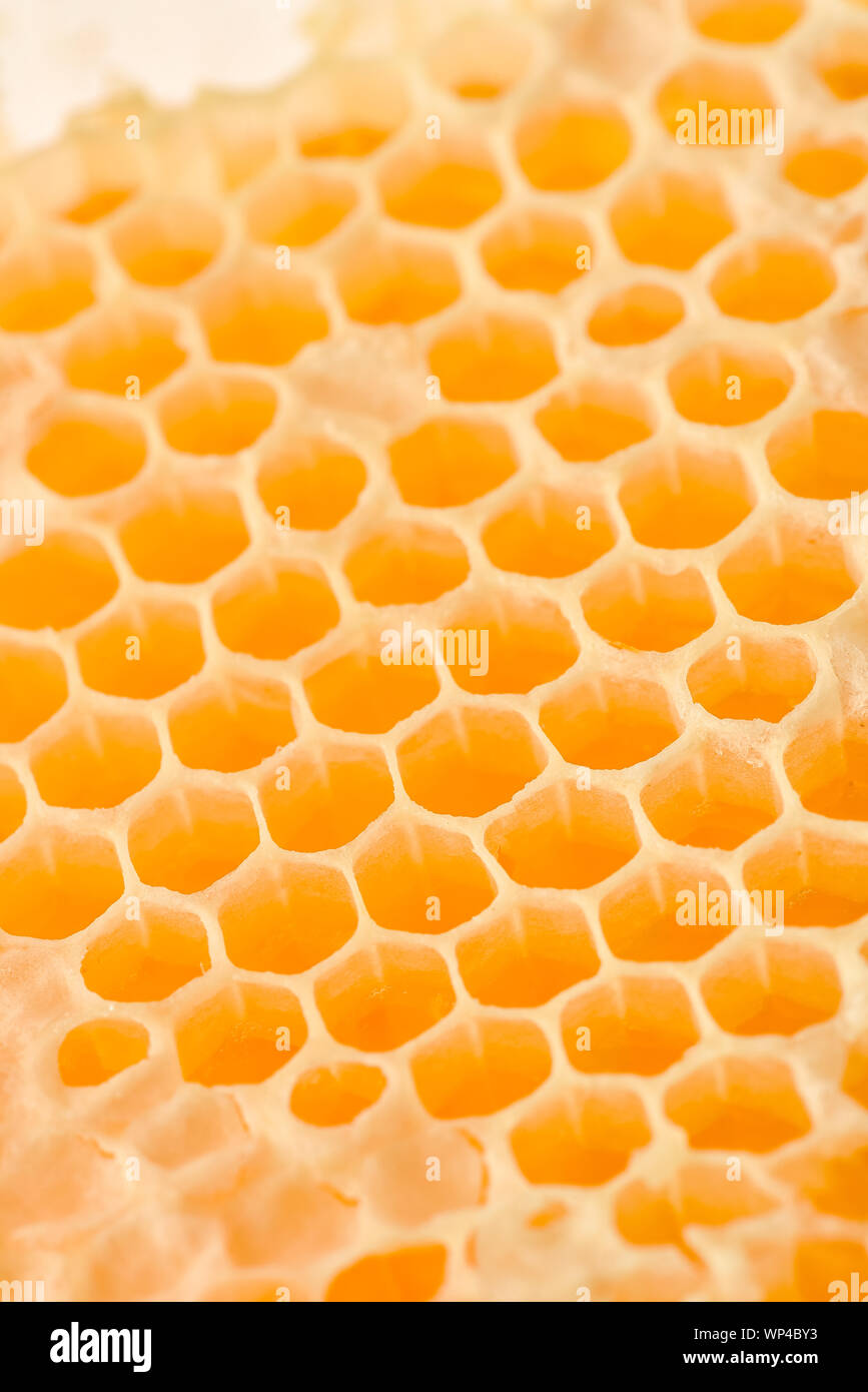 honeycomb cut natural bee freshly removed from the hive Stock Photo - Alamy