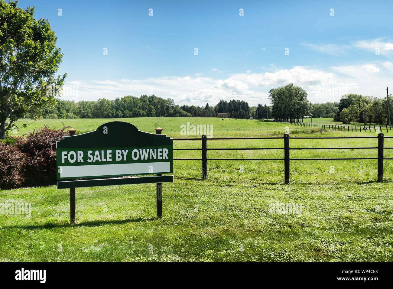 Rustic ranch horse hi-res stock photography and images - Alamy