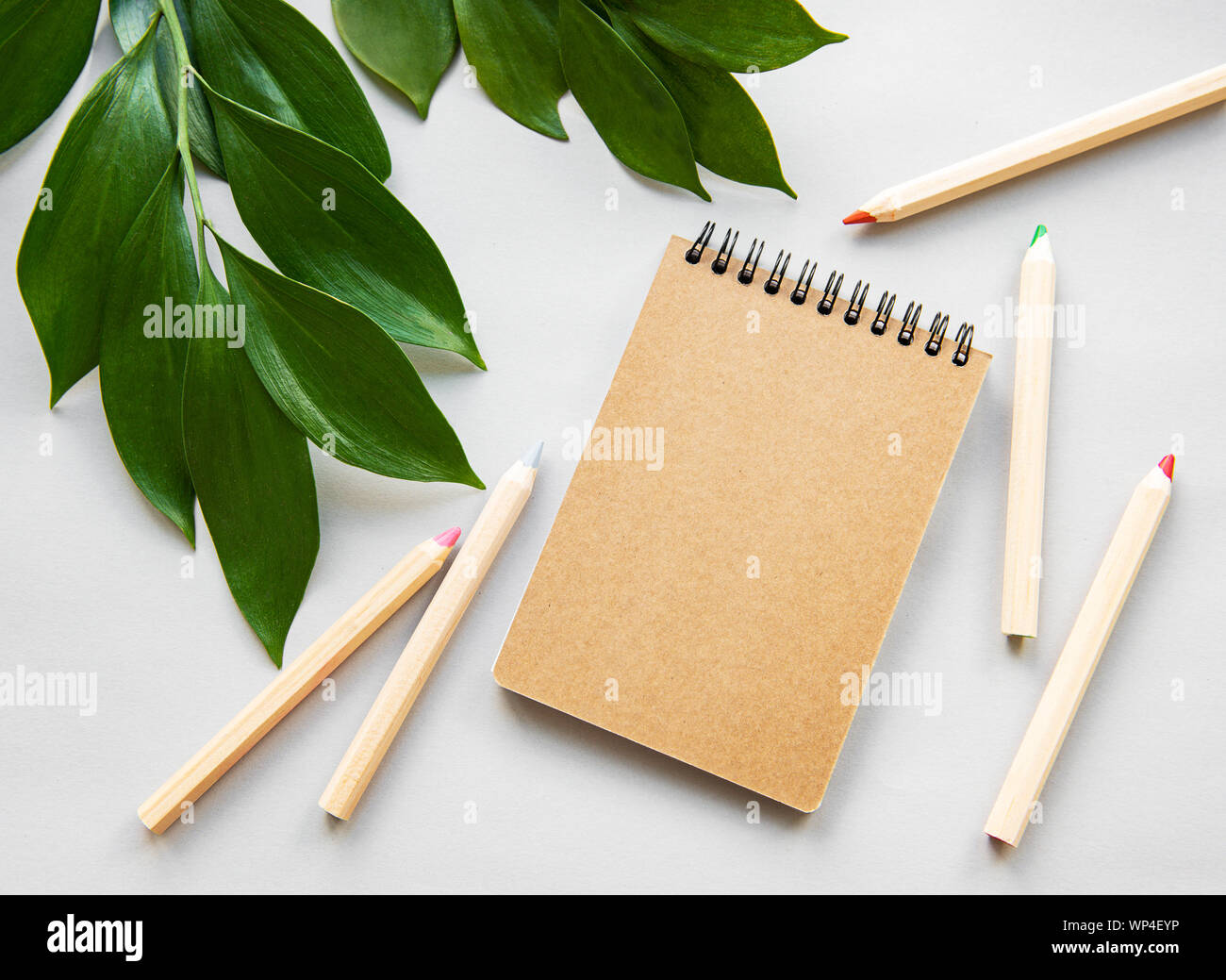 Craft notebook with pencils on a white background with green leaves ...
