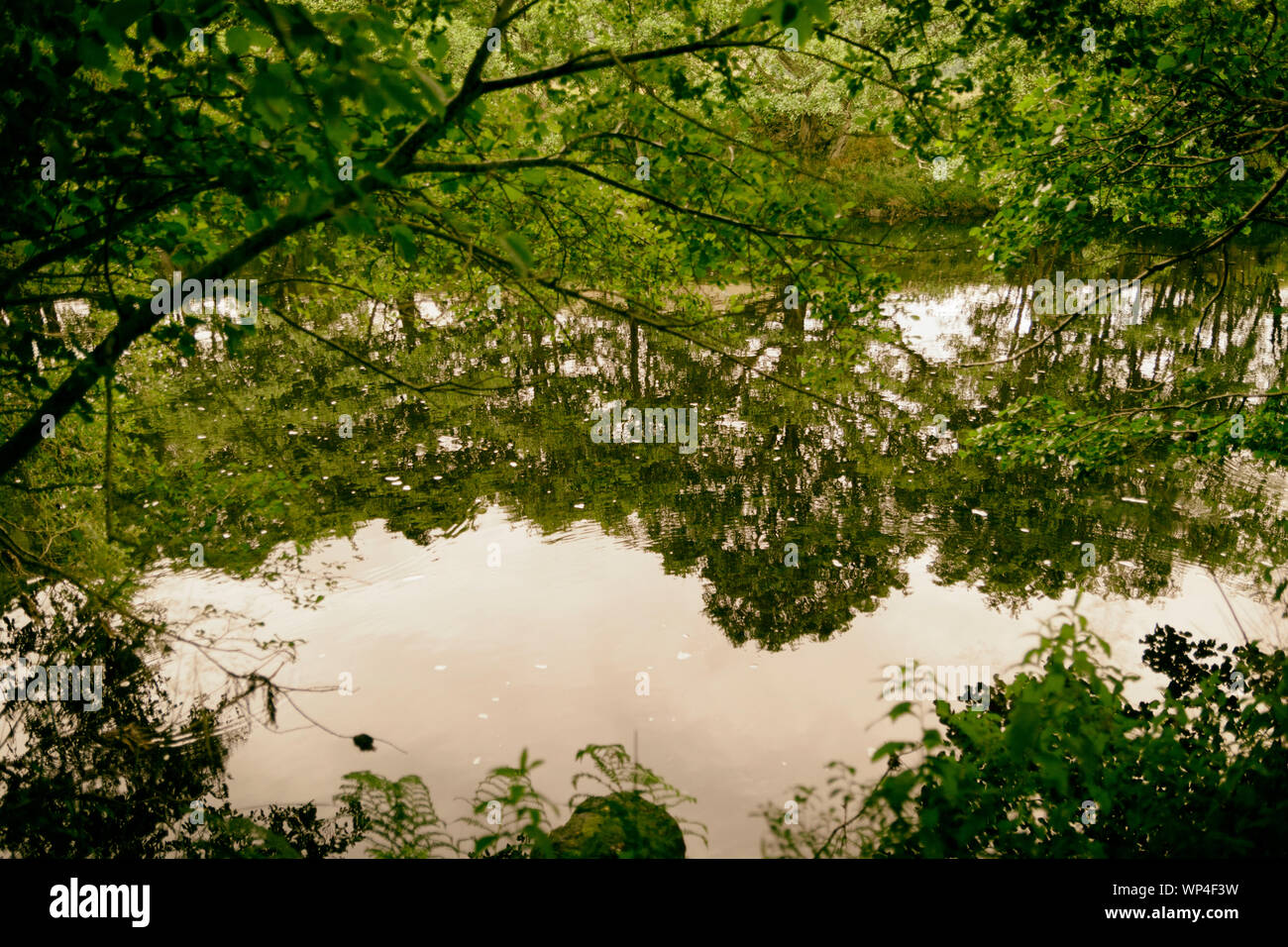 Loch garve scotland hi-res stock photography and images - Alamy