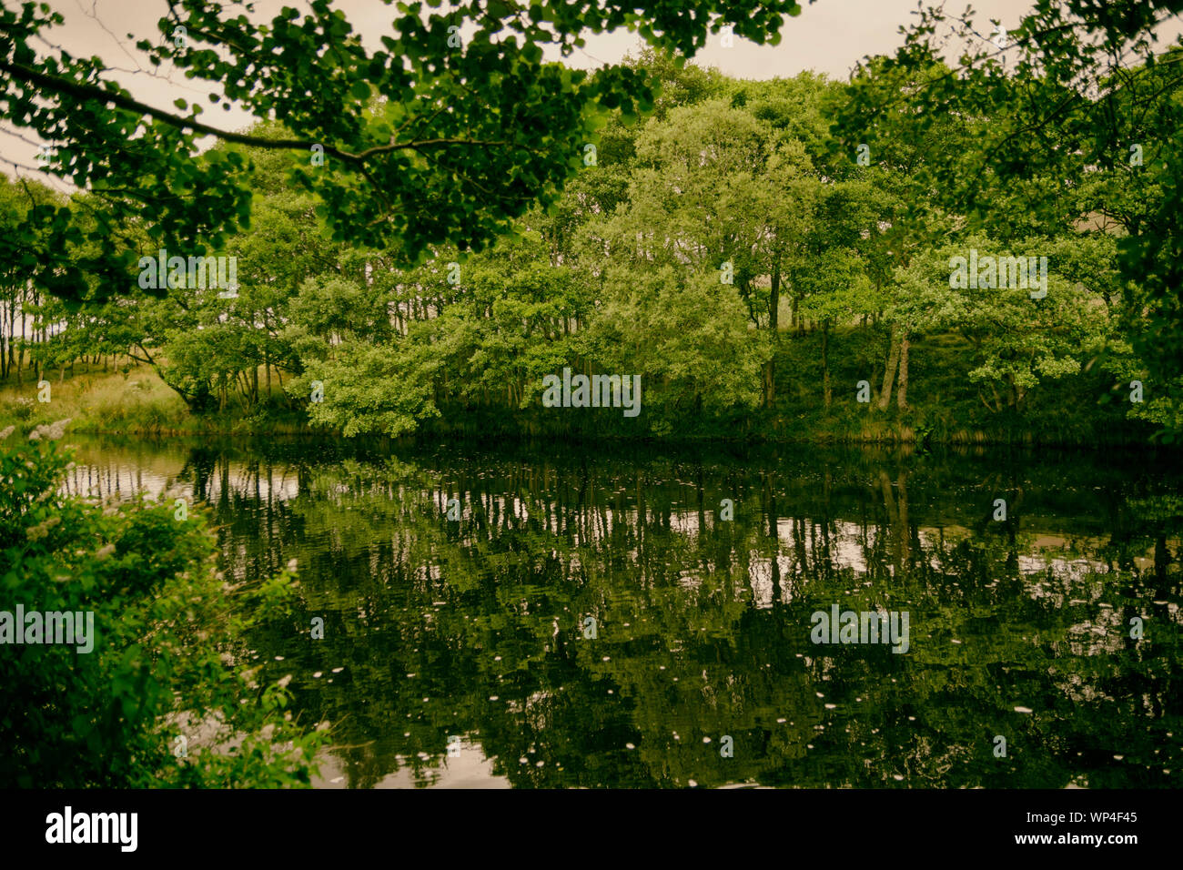Loch garve scotland hi-res stock photography and images - Alamy