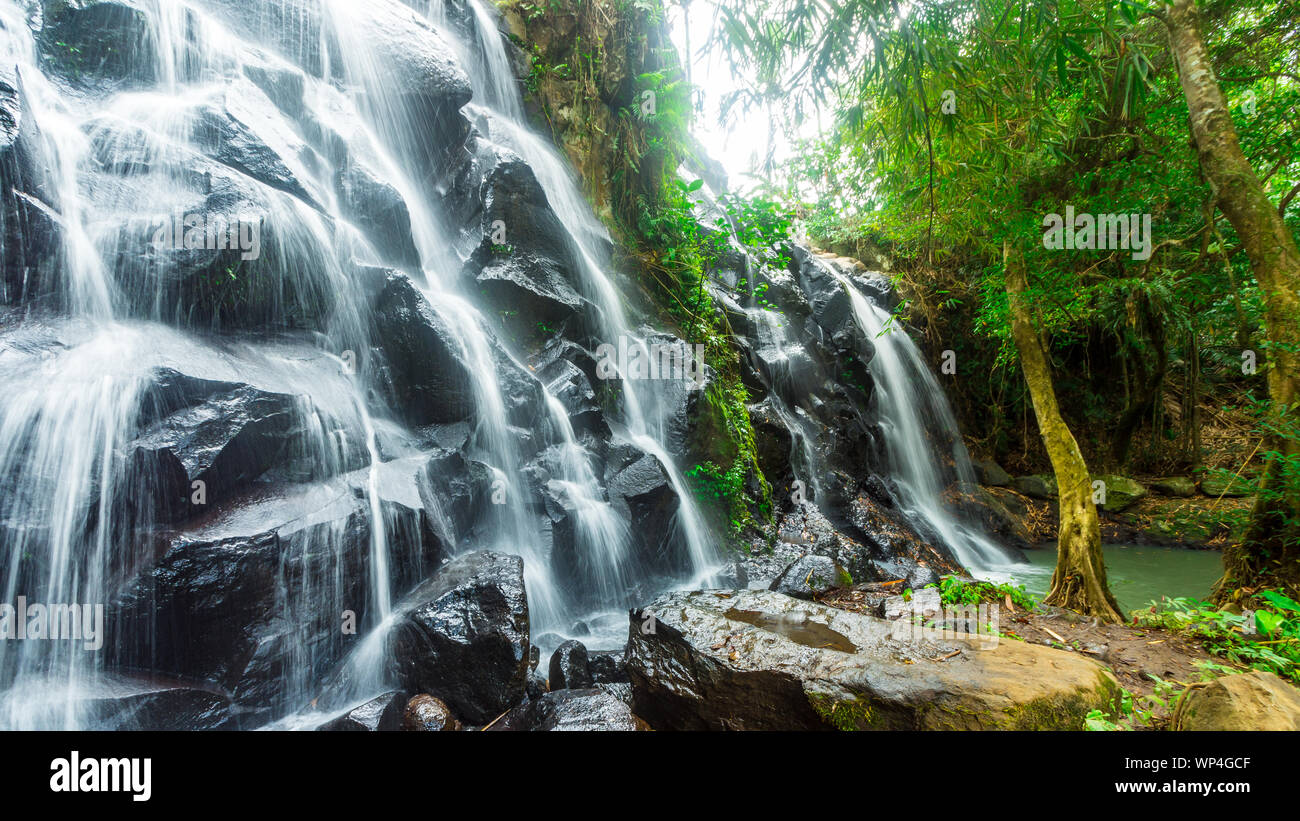 Under a cascading waterfall surrounded by lush rainforest - nature ...