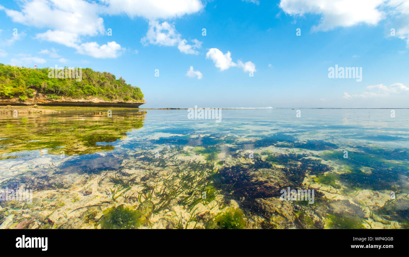 Shallow tropical water view horizon hi-res stock photography and images ...