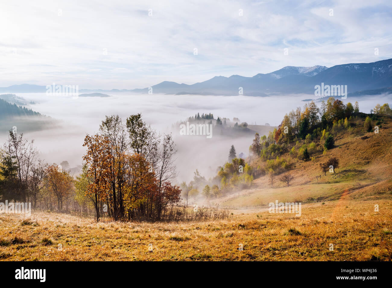Mist in the mountains hi-res stock photography and images - Alamy