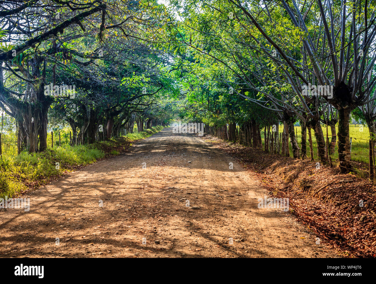 Costa rica road hi-res stock photography and images - Alamy