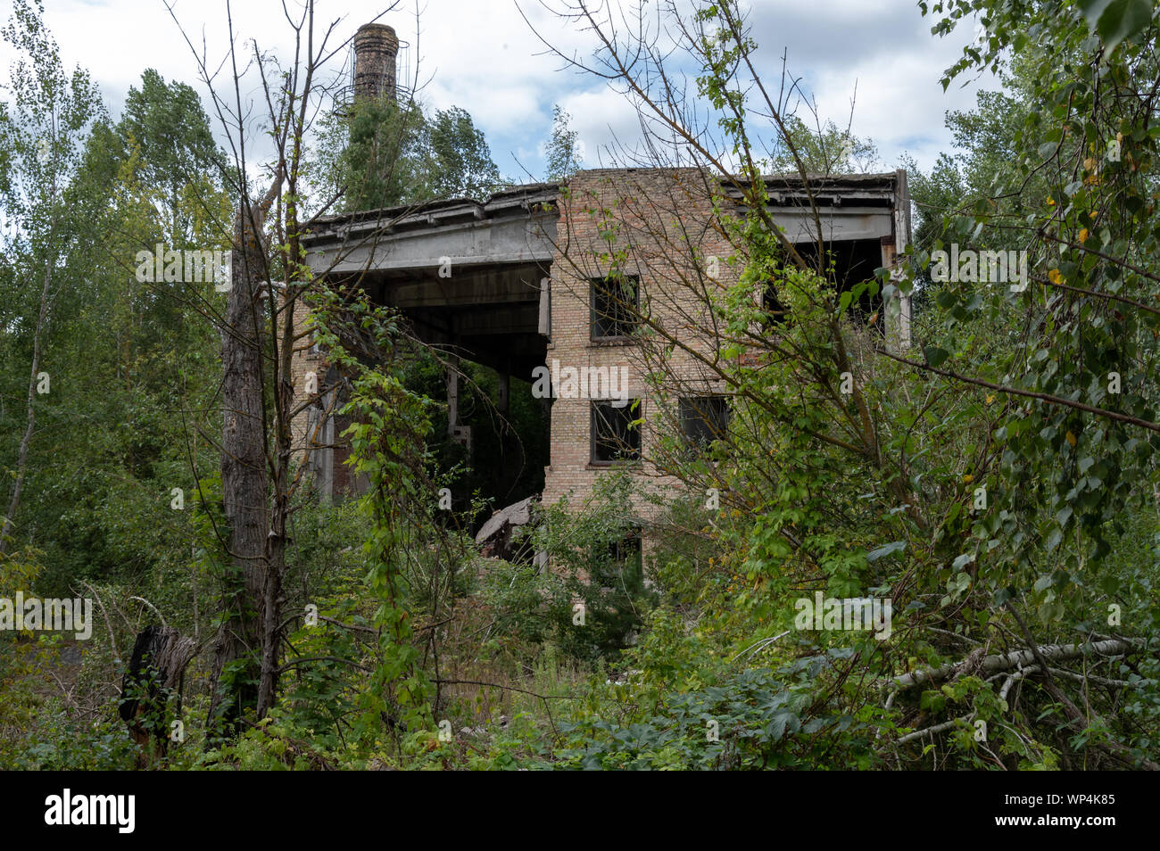 The ruins of an old factory and a chimney. An old factory overgrown ...